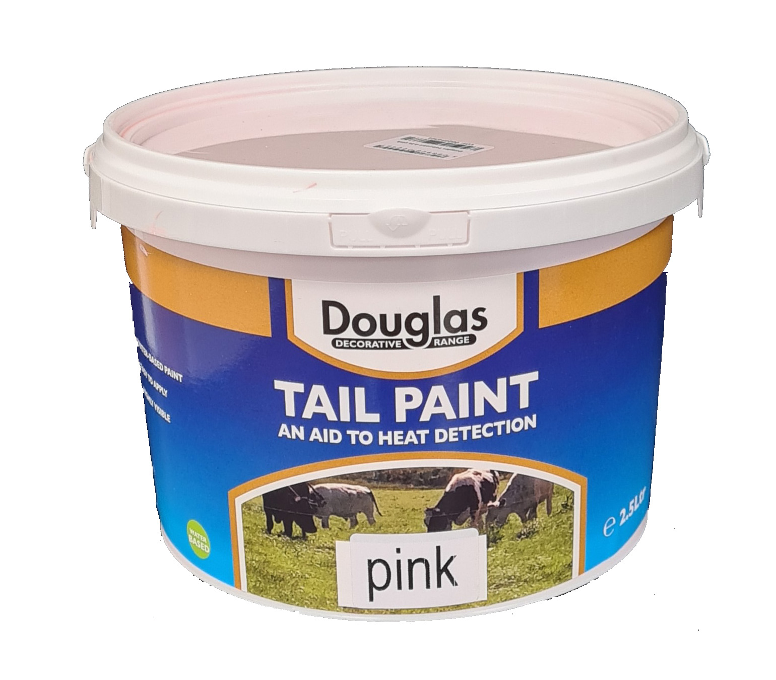 DPTAIL2500B - Tail Paint Blue 2.5ltr, Blue - Curust Industries