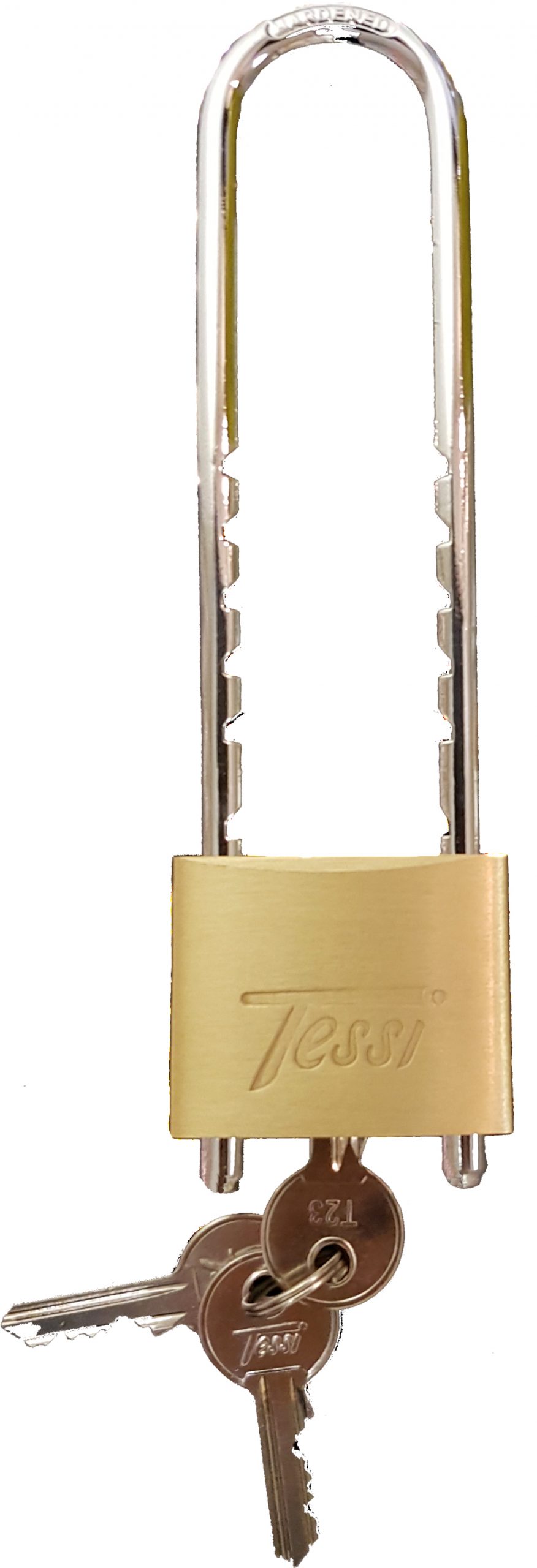 TE50ADJ - 50mm Adjustable Shackle Brass Padlock - Curust Industries